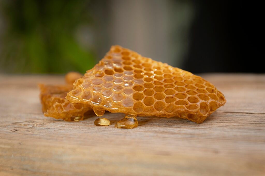 Bee Comb: Nature’s Masterpiece of Structure and Sweetness